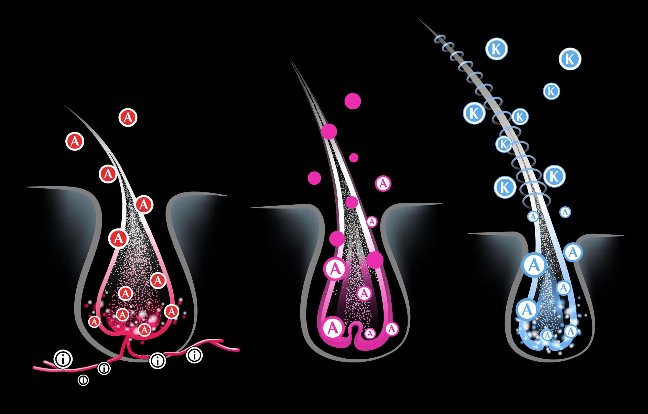 How the hair growth cycle works! – Navi Hair Solutions